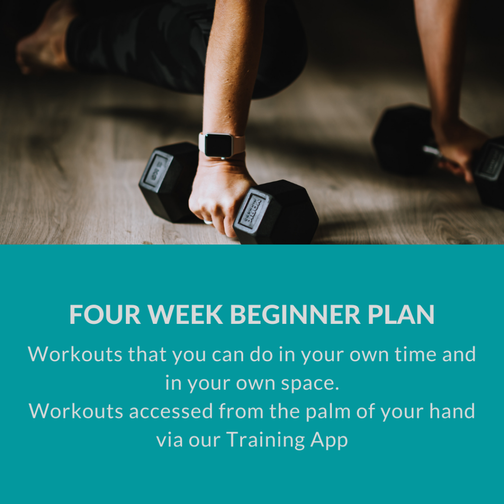 Four Week Beginner Plan – Infinite Balance
